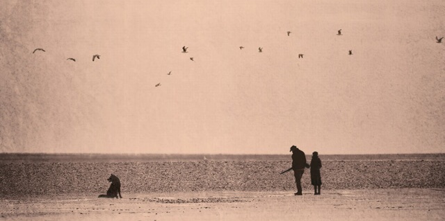 Recommended Read: Warlight – Words on Pages